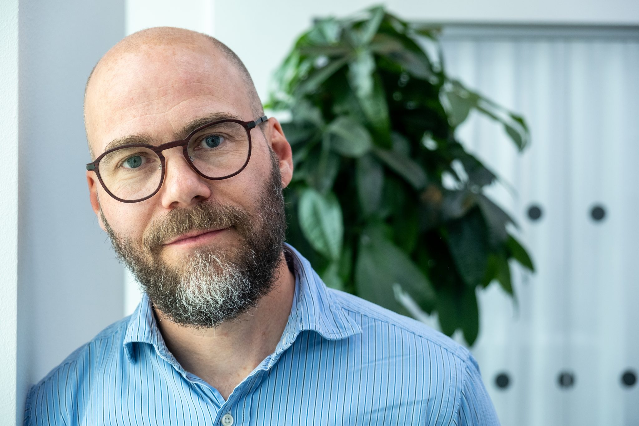 Dan Löfgren • BrainLit