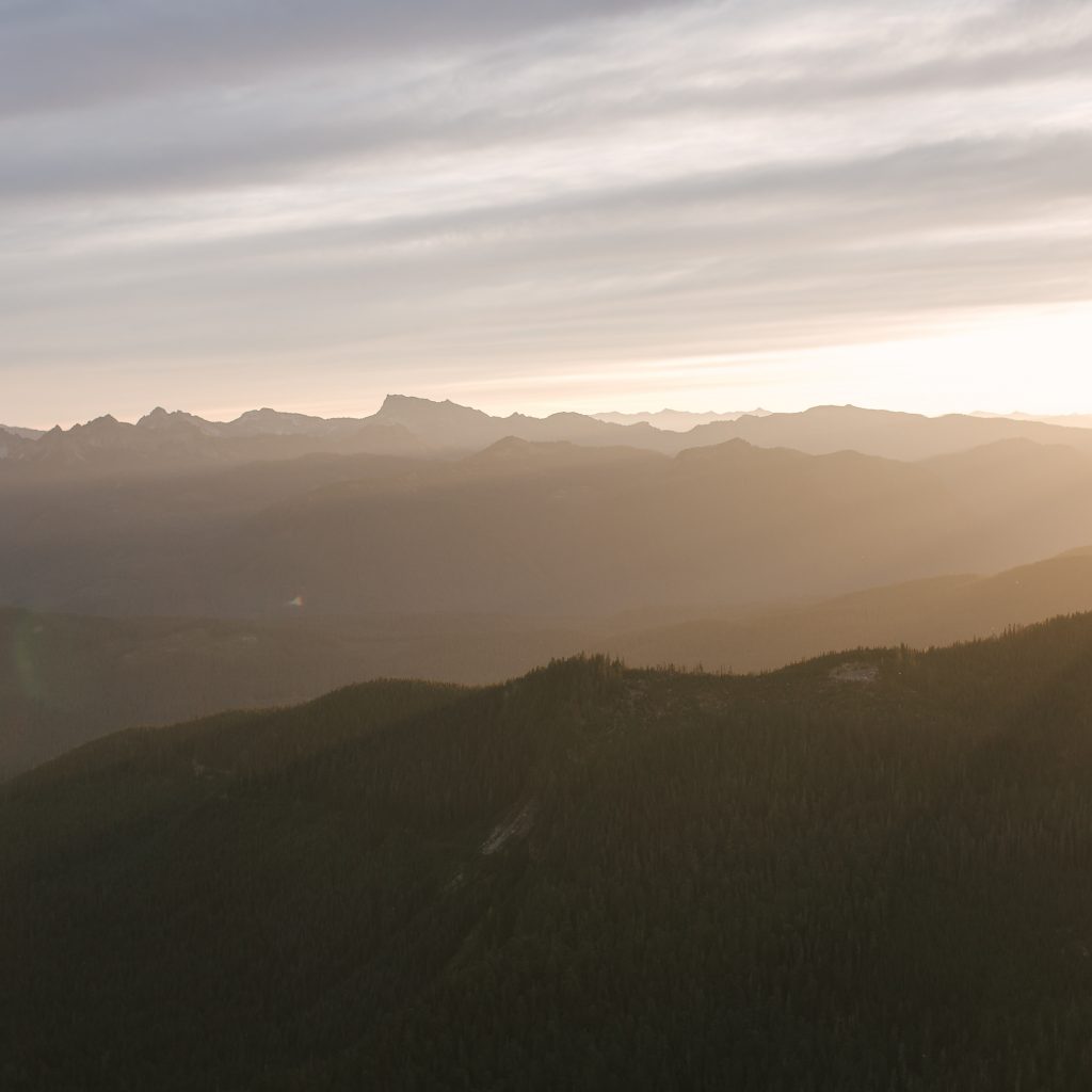 Huge interest in BrainLit’s Biocentric Lighting for wellbeing • BrainLit