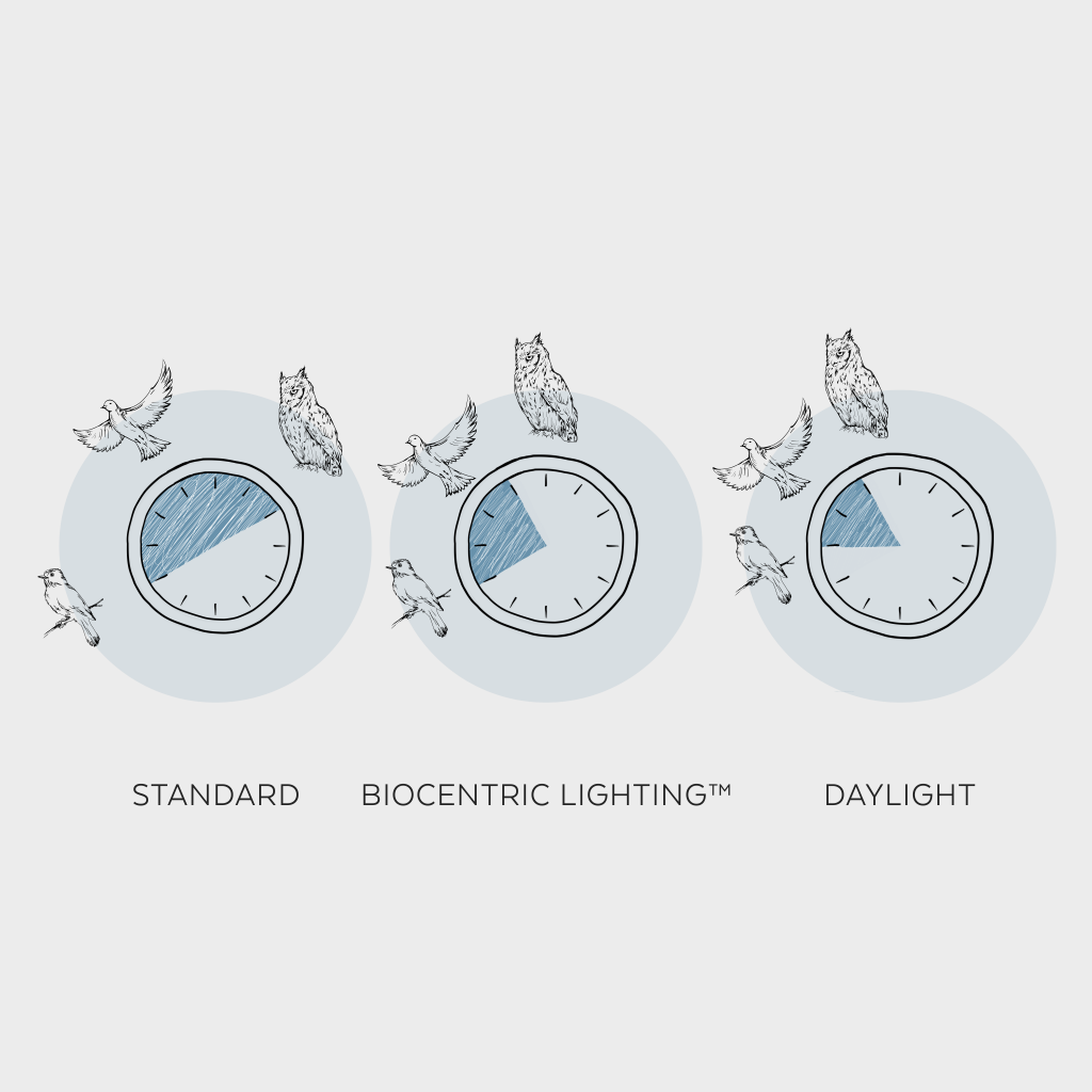 Circadian Rhythms • BrainLit